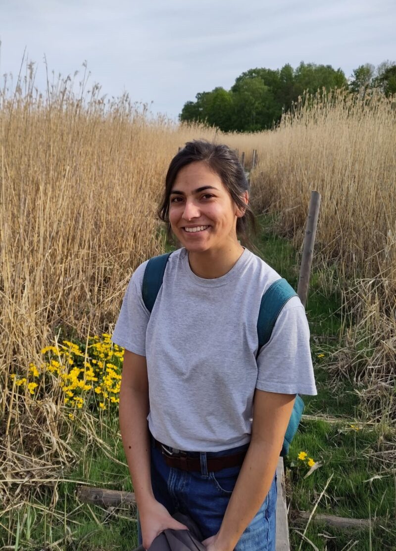 Laine Lab – Ecology and Evolution of Species Interactions